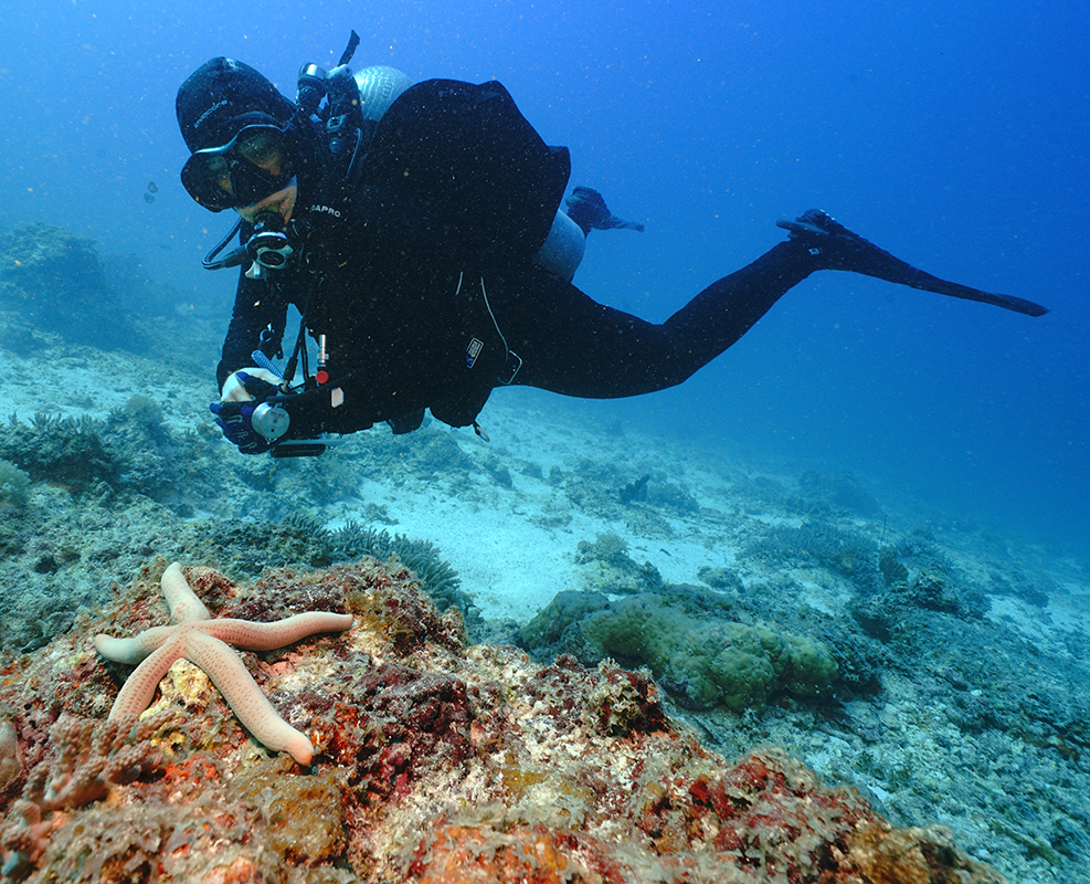 Taucher-Etiquette - EW80